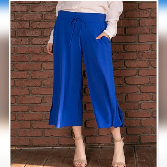 Millie Penzance | Pants & Jumpsuits | Blue Highwaist Gaucho Pants By ...